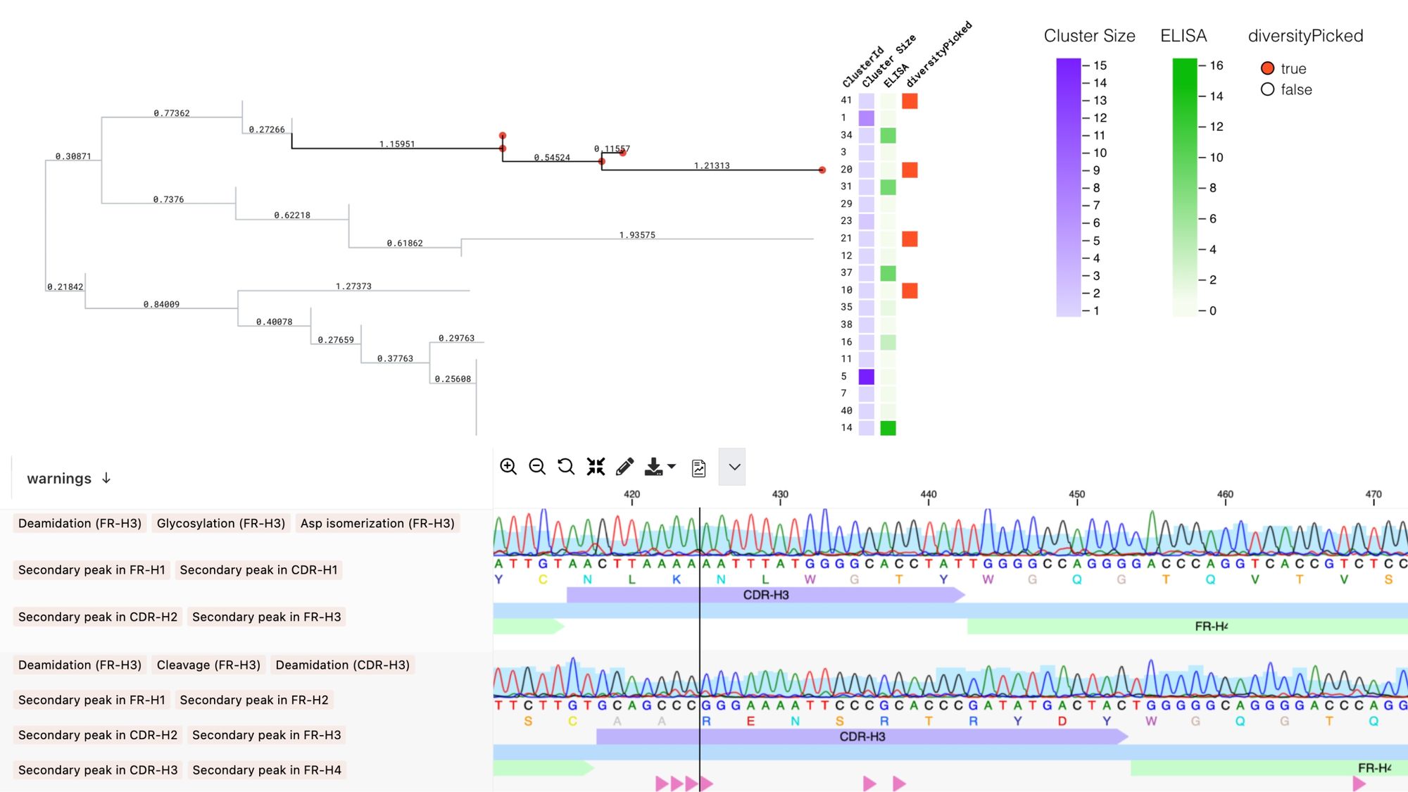 Sanger sequence analysis of antibodies
